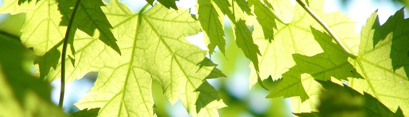 How I Work - Reichian therapy for anxiety and depression